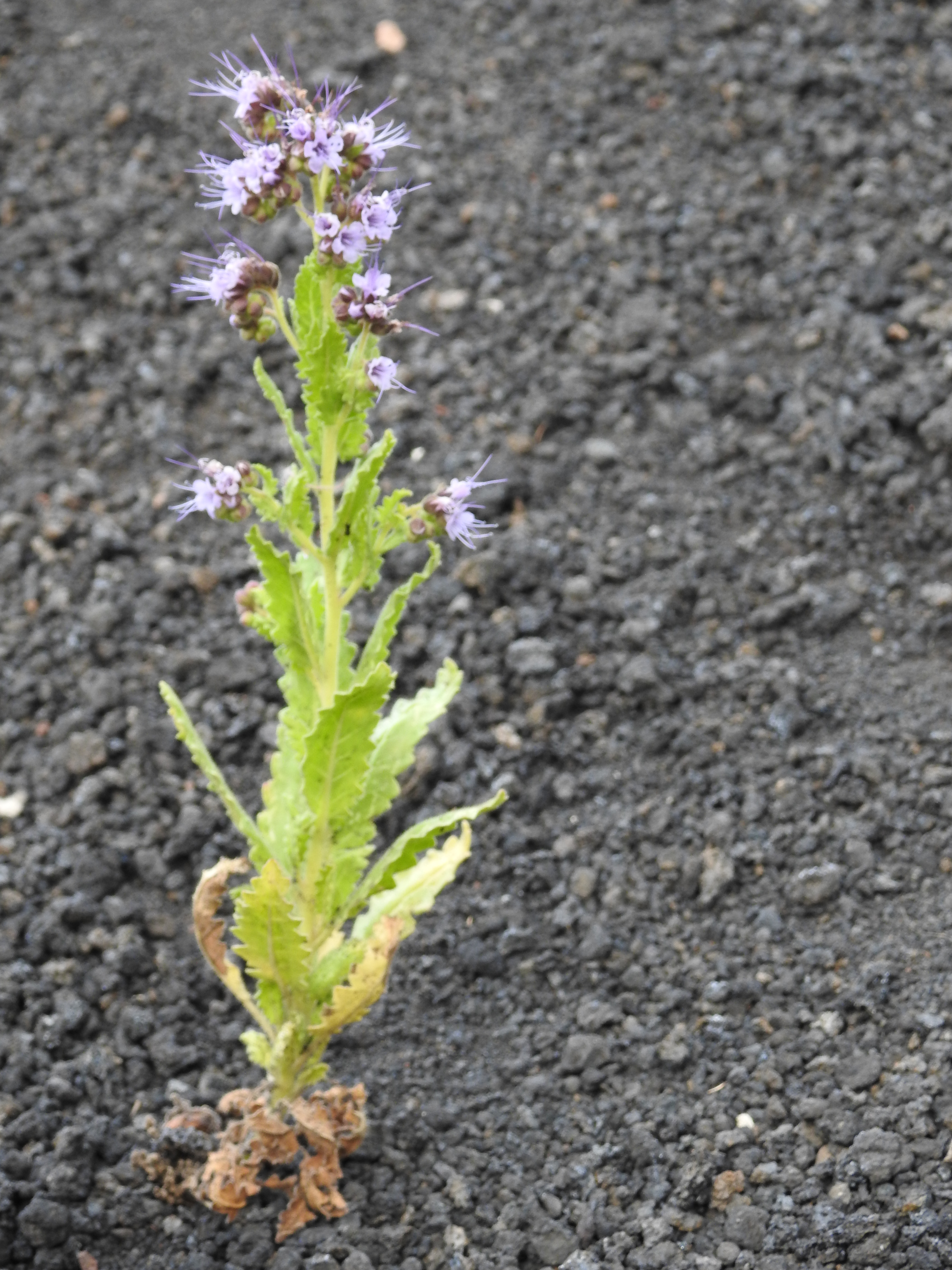 2019 Wander Wrap-up – Nomadic Naturalists